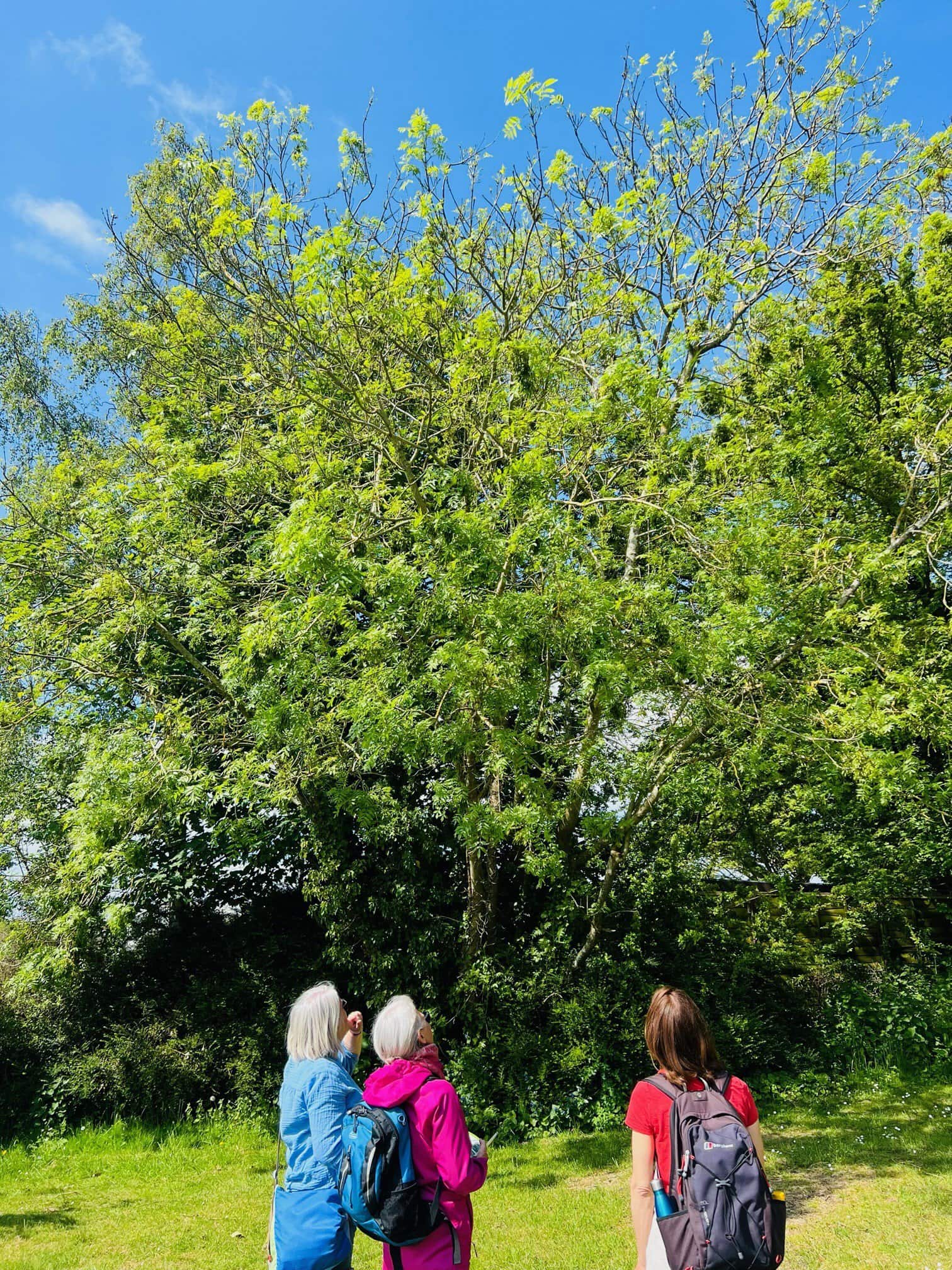 Take Notice Walk | Recovery in Mind